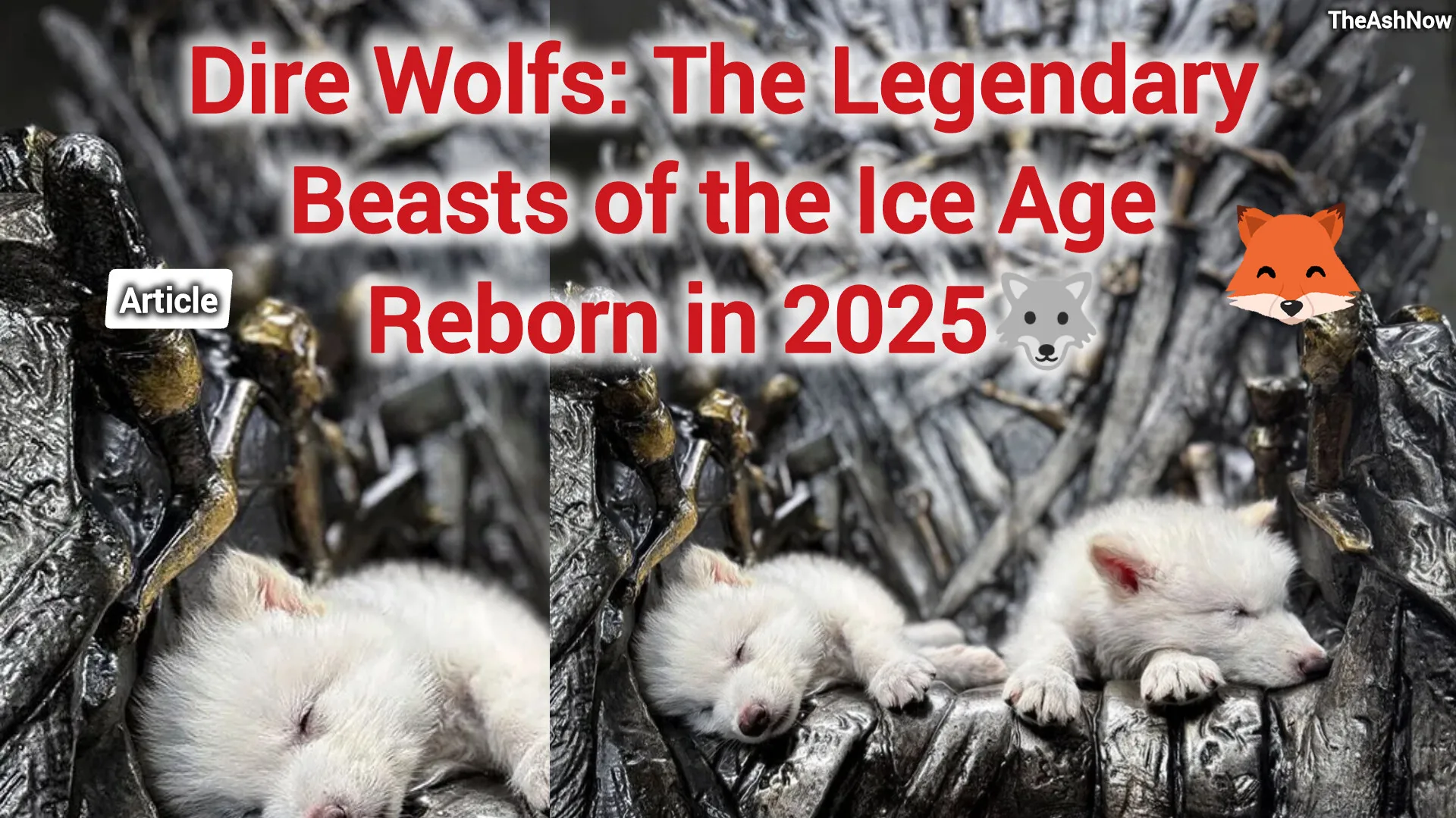 Dire Wolfs: The Legendary Beasts Of The Ice Age Reborn In 2025🐺