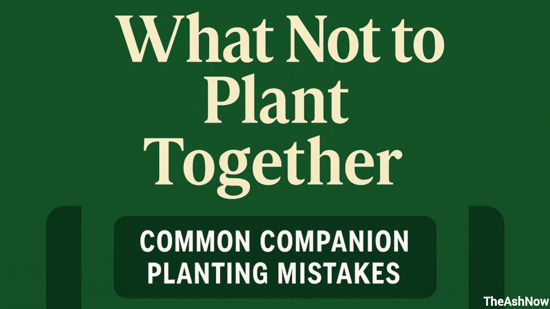 What Not To Plant Together: Common Companion Planting Mistakes Every ...